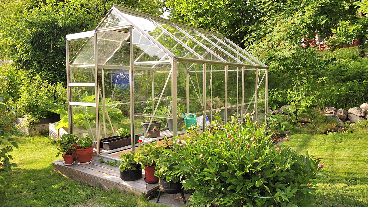 6 Tips to Building a Sustainable Greenhouse - Dean's Team